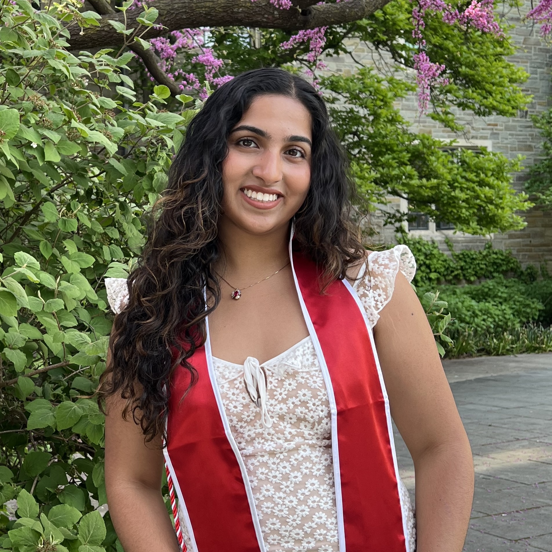 iGEM at Cornell | Team