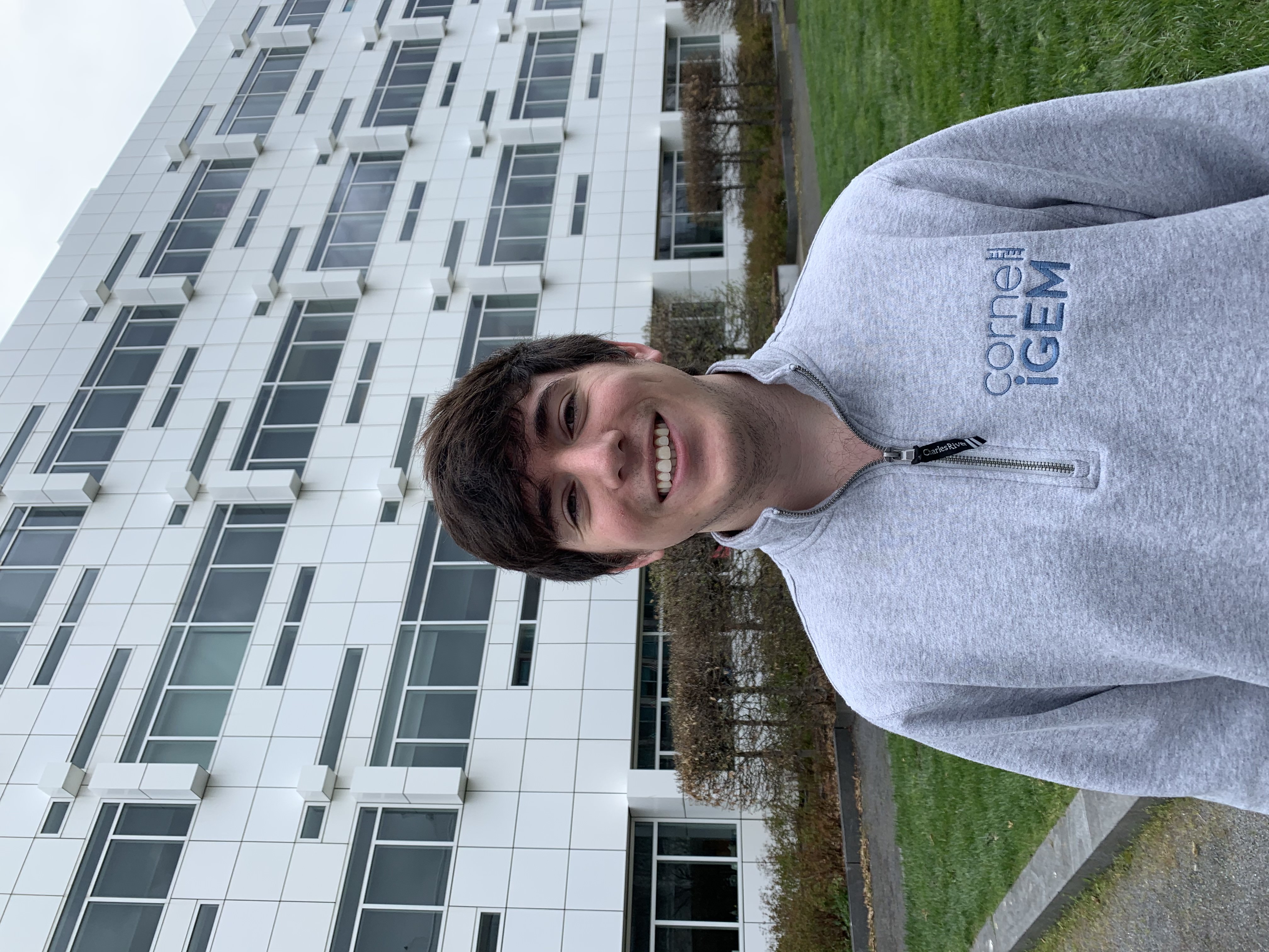 Cornell iGEM