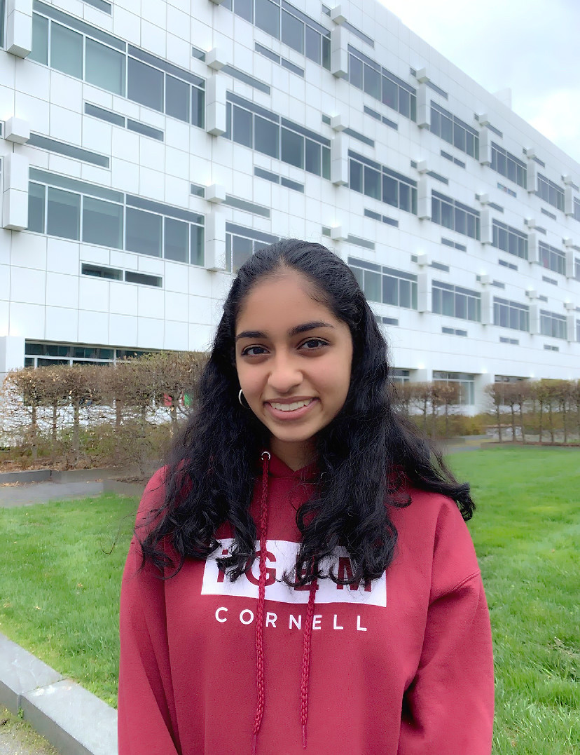 Cornell iGEM