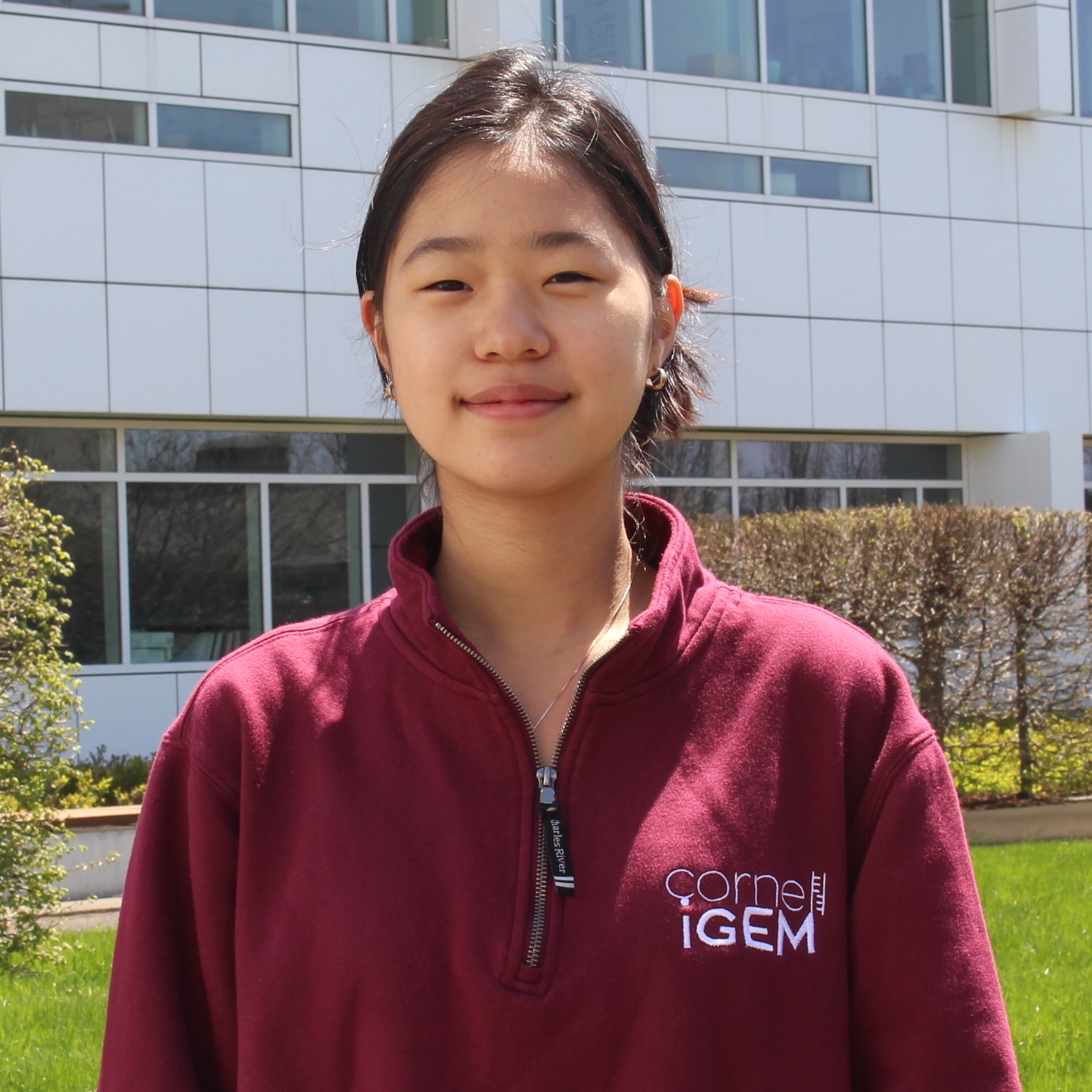 Cornell iGEM