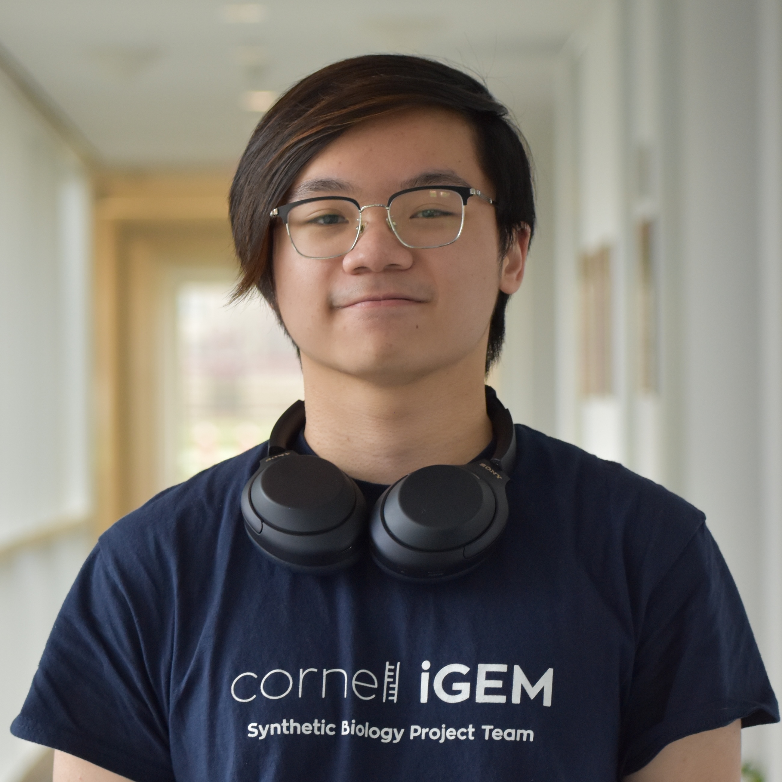 iGEM at Cornell