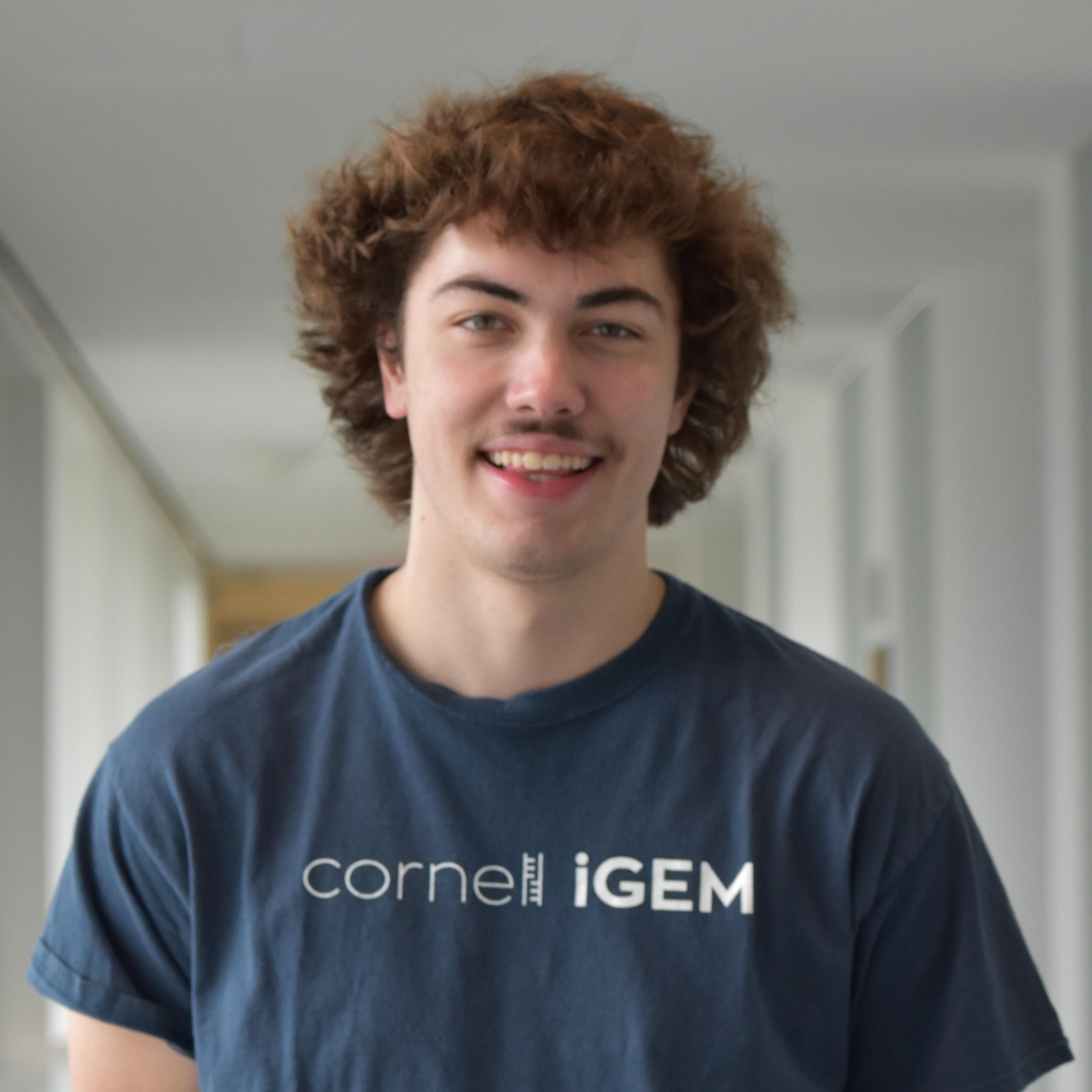 iGEM at Cornell