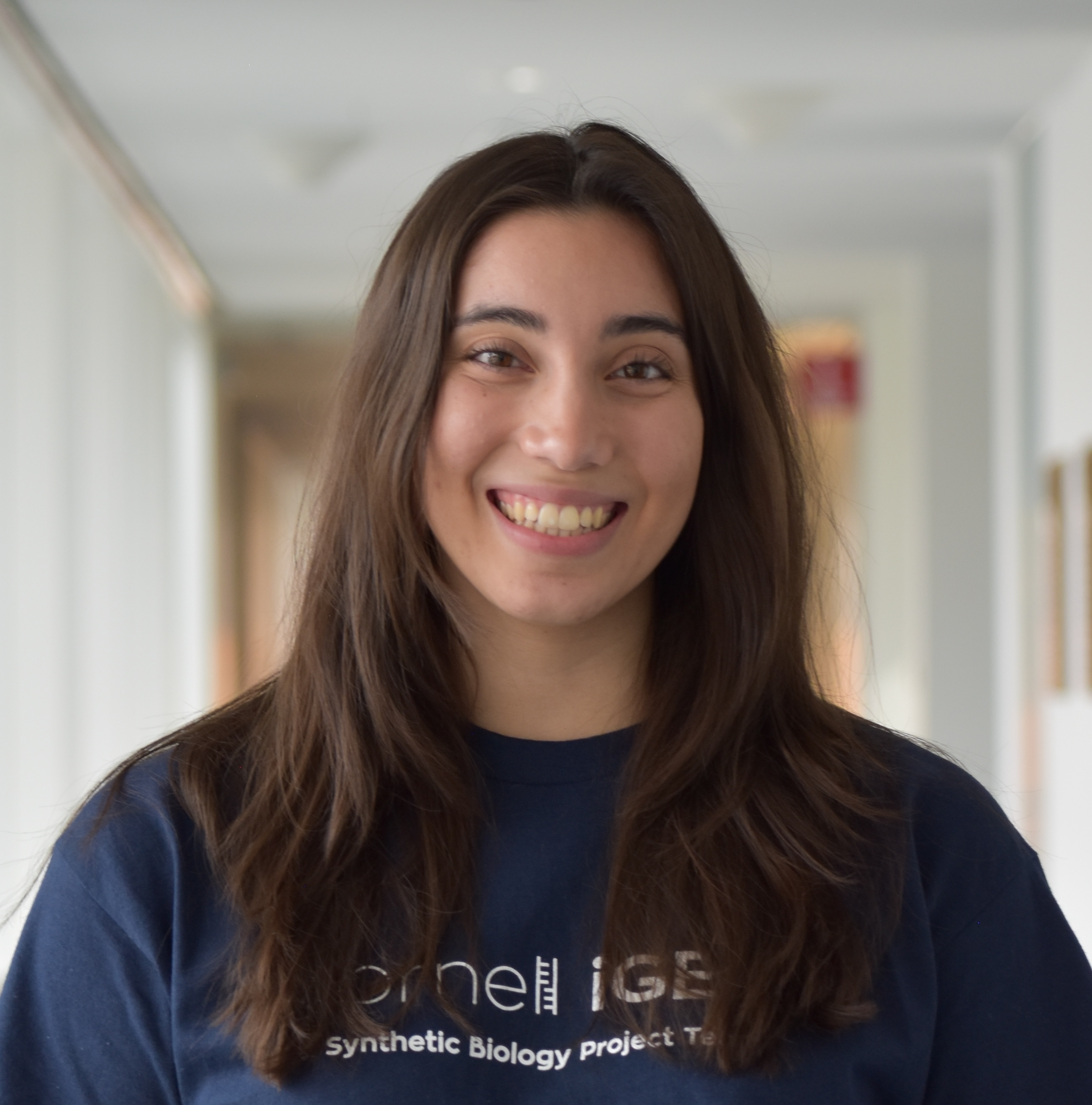 iGEM at Cornell | Team