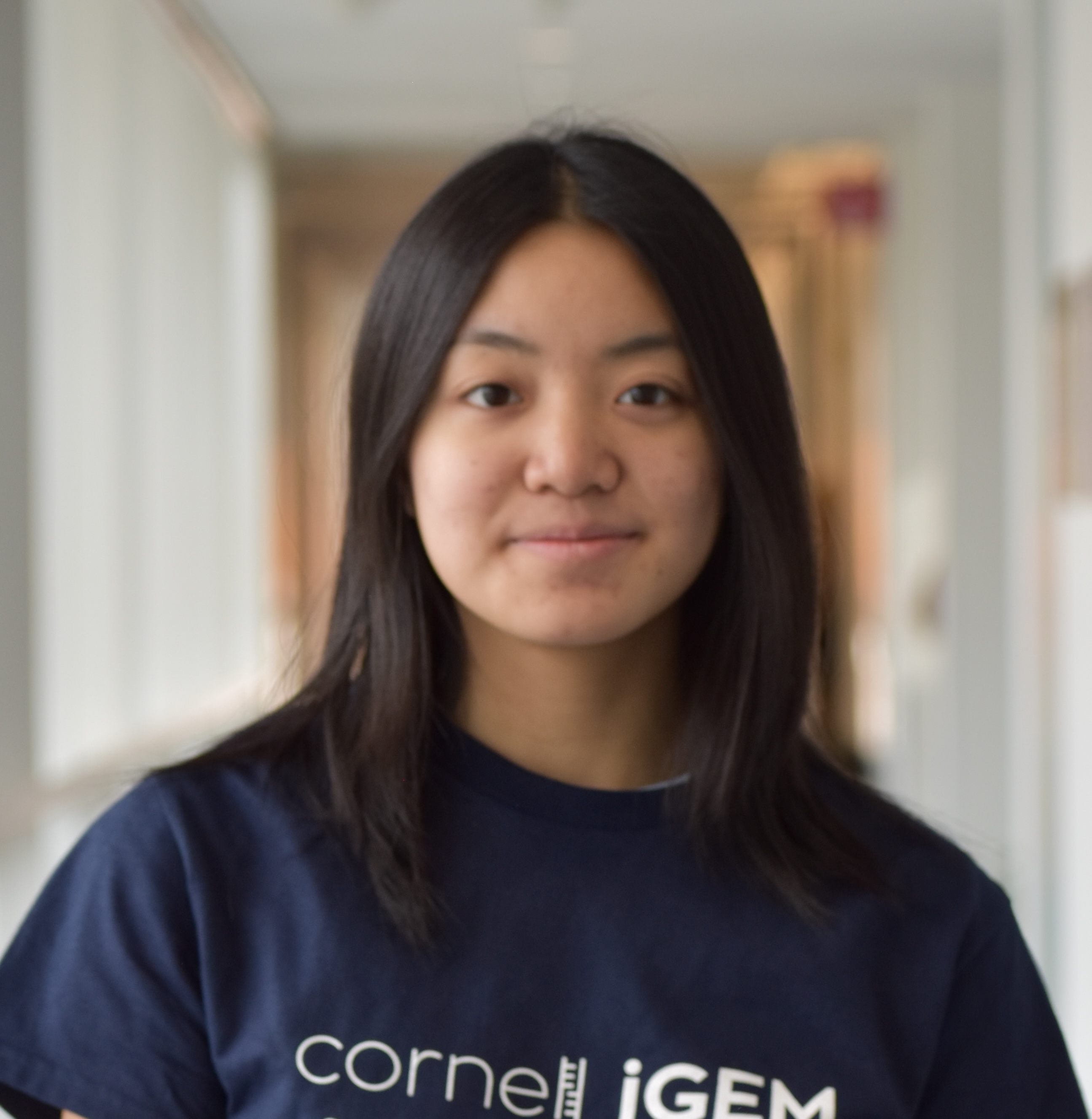 iGEM at Cornell | Team