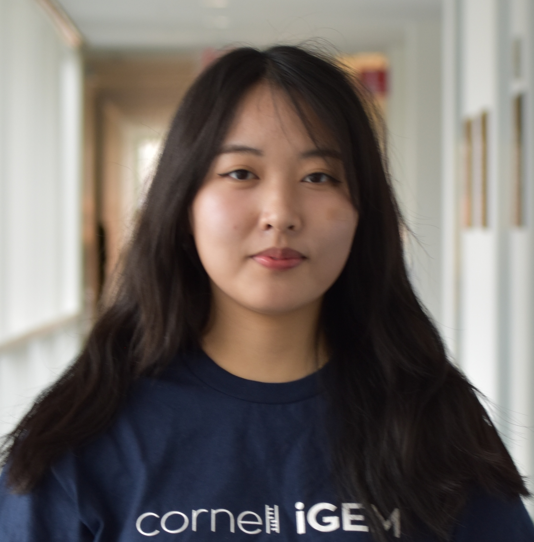 iGEM at Cornell | Team